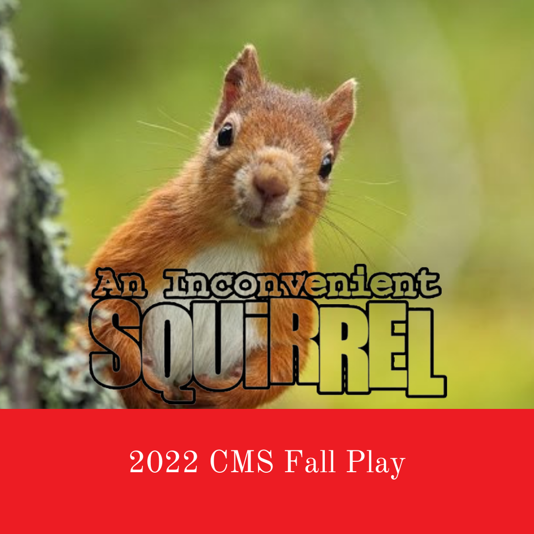 Evil Squirrel Memes